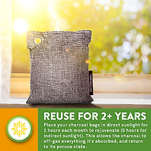Nature Fresh Charcoal Bags Odor Absorber (Large, 4 Pack, 200g each), Reduce Odors Naturally with Bamboo Charcoal Air Purifying Bags for Car, Home, Closet, Shoe Deodorizer Eliminator Freshener Remover
