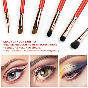 Makeup Brushes Set Professional from an Array of Eyeshadow Foundation Brushes to a Concealer Brush to Eyelash and Blusher Brushes 12 Pcs Make up Brush Kit -the Makeup World is Truly Your Oyster.