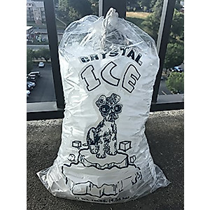 Crystal Clear Plastic Ice Bags with Cotton Draw String, 10 lb., Pack of 100