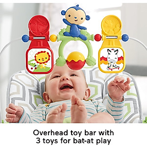 Fisher-Price Baby's Bouncer – Green, bouncing seat for soothing and play for newborns and infants [Amazon Exclusive]