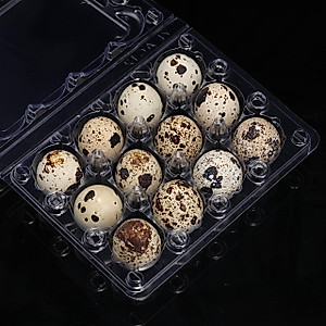 LayHyand 60 Pcs Quail Egg Cartons, Square Dozen Egg Boxes, Classical 3x4 Style Holds Up to Twelve 12 Count Small Quail Eggs Basket, Pigeon Eggs, Bulk Carton Quail Egg Tray Container for Refrigerator