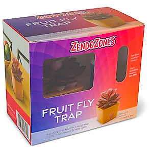 ZendoZones Fruit Fly Trap with Zendo Lure, Joyful Janet with Plastic Terra Cotta Colored Base, Refillable and Reusable