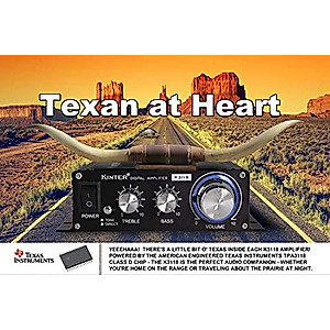 Kinter K3118 Texas Instruments TI Digital Hi-Fi Audio Mini Class D Home Auto DIY Arcade Stereo Amplifier with 12V 3A Power Supply Black