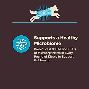 Wellness CORE Digestive Health Dry Dog Food with Wholesome Grains, Highly Digestible, for Dogs with Sensitive Stomachs, Made in USA with Real Protein (Whitefish & Brown Rice, 4-Pound Bag)