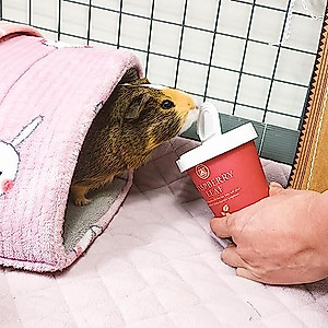 GuineaDad Organic Guinea Pig Herbal Treats - Guinea Pig Food with Convenient Packaging - Raspberry Leaf Flavor - 1.2-oz - Guinea Pig Treats Help with Bonding - High in Nutrition and Fiber- Small