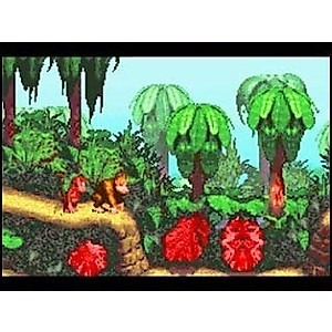 Donkey Kong Country (Renewed)