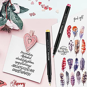 Piochoo Calligraphy Pens,10 Refill Colors Brush Markers Hand Lettering Pens for Beginners, Hand Writing, Drawing, Sketching, Journaling, Illustrations