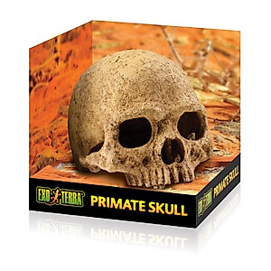 Exo Terra Terrarium Decor Primate Skull