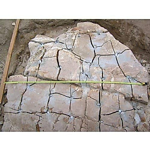 Dexpan Expansive Demolition Grout 44 Lb. Box for Rock Breaking, Concrete Cutting, Excavating. Alternative to Demolition Jack Hammer Breaker, Jackhammer, Concrete Saw, Rock Drill (DEXPAN44BOX2) (50F-77F)