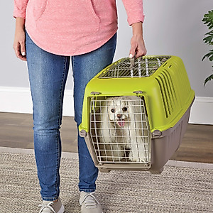 MidWest Homes for Pets Spree Travel Pet Carrier, Dog Carrier Features Easy Assembly and Not The Tedious Nut & Bolt Assembly of Competitors, Ideal for Small Dogs & Cats