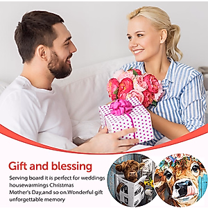 6 Pcs Diamond Art Paintings Coasters Kits with Holder, DIY Highland Cow Coaster Diamond Art Kits for Adults Beginners and Kids.