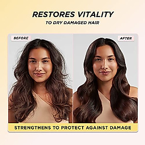 Gisou Honey Infused Conditioner, a Weightless and Nourishing Conditioner Enriched with Mirsalehi Honey, 8.1 fl oz