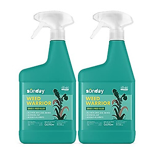 Sunday Weed Warrior, 32oz, 2 Pack - Grass & Weed Killer - Organic, Ready-to-Use Weed Killer Spray - Herbicide Spot Treatment - Kills Weeds, Grass, Algae and Moss