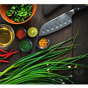 Dalstrong The Shogun Series Santoku Knife 5" Bundled with Premium Whetstone Kit (#1000/#6000 Grit)