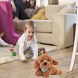 KIRIGAMI Dog Stuffed Animal, Golden Doodle Puppy Plush Toy with Realist Weighted Soft Dog Stuffed Gift for Kids，11 inches (Brown Color)