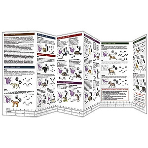 Animal Tracking: A Folding Guide to Animal Tracking & Behavior (Outdoor Recreation and Survival)