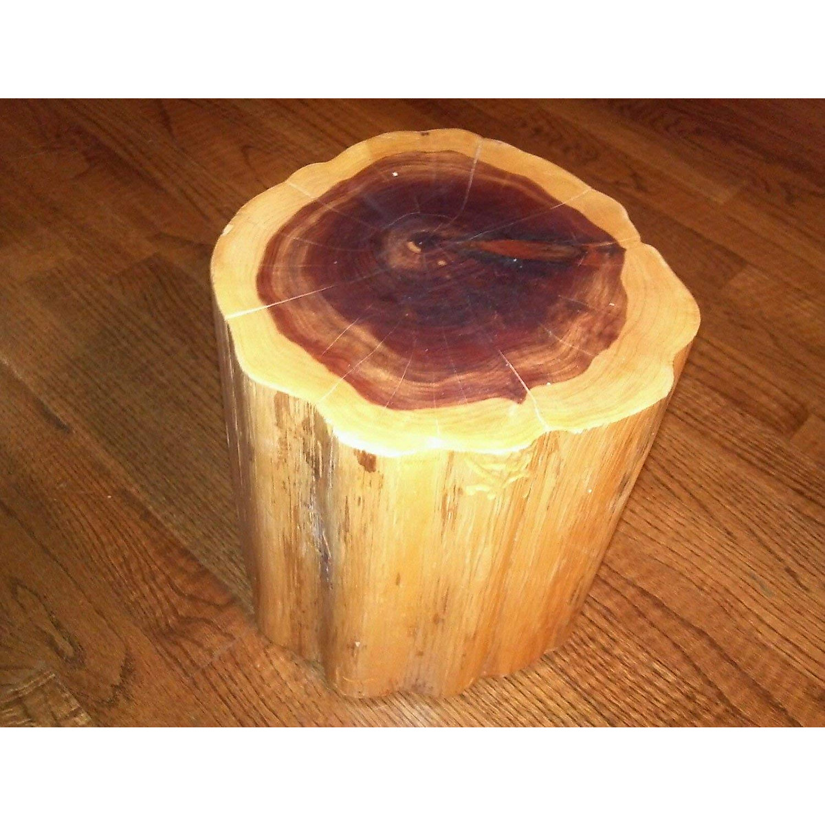 Red Cedar Tree Stump Table Stool Photo Prop Plant Stand - 8-10" diameter - 4"-22" Tall