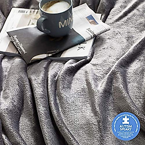 Vellux The Heavy Weight 20 Pound Weighted Camel Blanket, 60" W x 80" L 20 Lbs