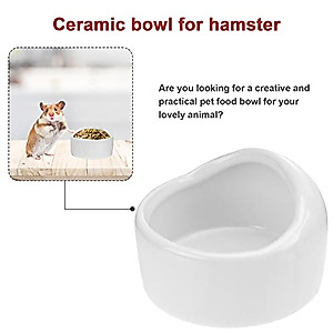 POPETPOP Ceramic Hamster Feeding Bowls, Anti-bite Small Animal Food Bowl Water Feeder for Hedgehog Guinea-Pig Gerbil (Random Color)
