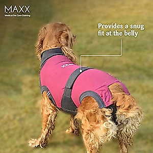 MAXX Recovery Suit for Dogs, E Collar Alternative, Post-Operative Onesie by Vet (Ruby Red Grey, M+)