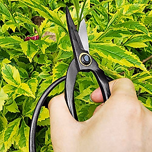 gonicc Professional 7.3" Bonsai Scissors(GPPS-1012), For Arranging Flowers, Trimming Plants, For Grow Room or Gardening, Bonsai Tools. Garden Scissors Loppers.