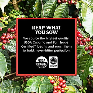 Death Wish Coffee Co., Organic and Fair Trade Dark Roast Whole Bean Coffee, 16 oz