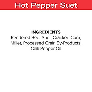 Blue Seal Hot Pepper Suet Cakes for Wild Birds - No Mess Suet Feed, Food for Woodpeckers, Cardinals, Siskins, Sparrows & More - 11oz Suet Feeder, Bird Seed Cakes (Pack of 12)