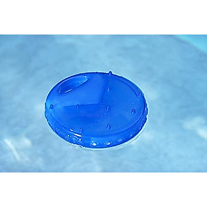 Poolmaster 32147 Clear-View Swimming Pool or Spa Chlorine Dispenser, Essential Collection