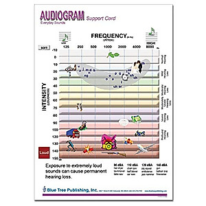 Audiogram Anatomical Chart Laminated Card for Audiologist and Hearing