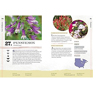 100 Plants to Feed the Bees: Provide a Healthy Habitat to Help Pollinators Thrive