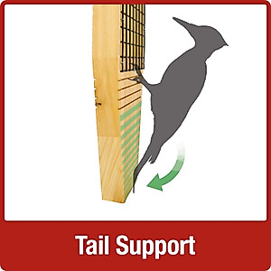 Nature's Way Cwf1 Suet Cedar BRD Feedr