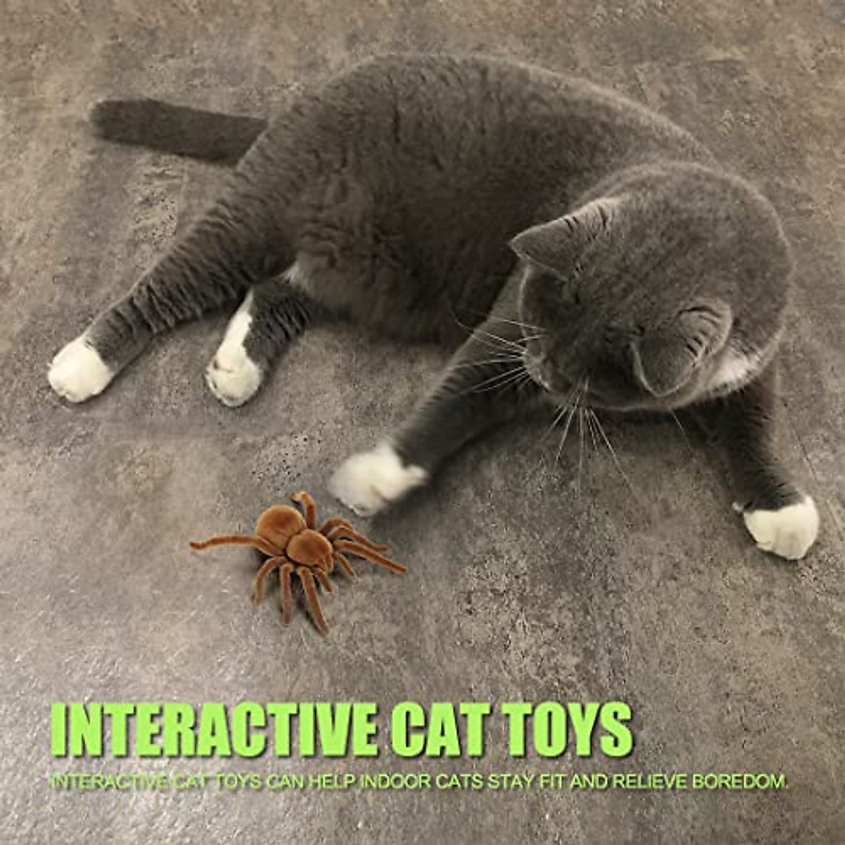 Lylyzoo Robotic Toy Tarantula for Indoor Cats, Electric Moving Fake Spider, Fun Prank Toy, Battery-Operated Interactive Cat Toys for Kitten Chasing and Entertainment (Fake Tarantula)