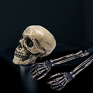 Sunnyglade Realistic Skeleton Stakes Halloween Decoration Scary Ground Breaker Skull and Skeleton for Outdoor Yard Lawn Stake Garden Graveyard Decoration