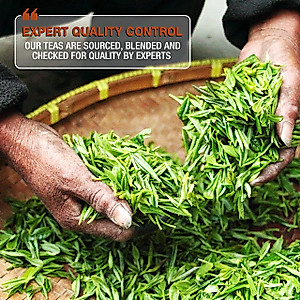 Tipson Organic Turmeric Herbal Infusions - Turmeric Ginger and Cinnamon - Caffeine Free, Non GMO, Gluten Free - 25 Premium Tea Bags (Pack of 1)