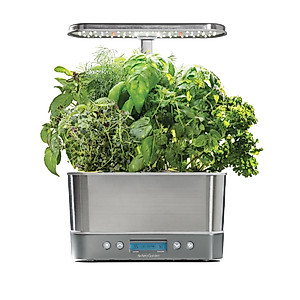AeroGarden Gourmet Herb Seed Pod Kit - Herb Seeds for AeroGarden Indoor Garden, 6-Pod