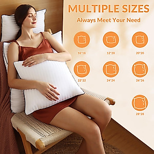 Yettbea Throw Pillows Inserts 18'' x 18'', Set of 2, Decorative for Couch, Sofa or Bed with Premium Down Alternative Filled, White