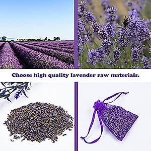 24 Pack Moth Repellent for Closet Lavender Sachet Bags, Cedar Blocks for Clothes Storage, Cedar Lavender Bags and Protect Clothing Closets Drawers Freshener