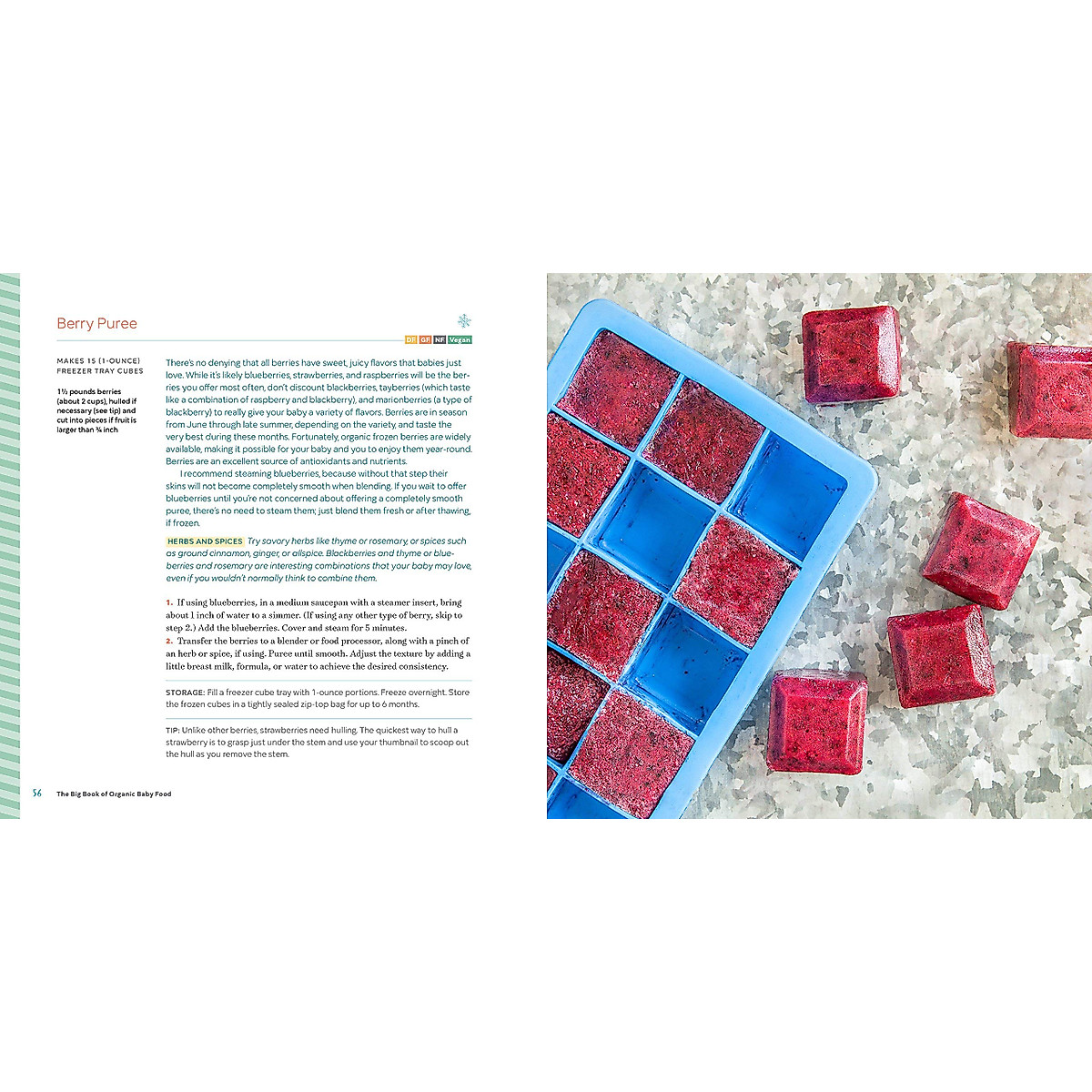 The Big Book of Organic Baby Food: Baby Purées, Finger Foods, and Toddler Meals For Every Stage