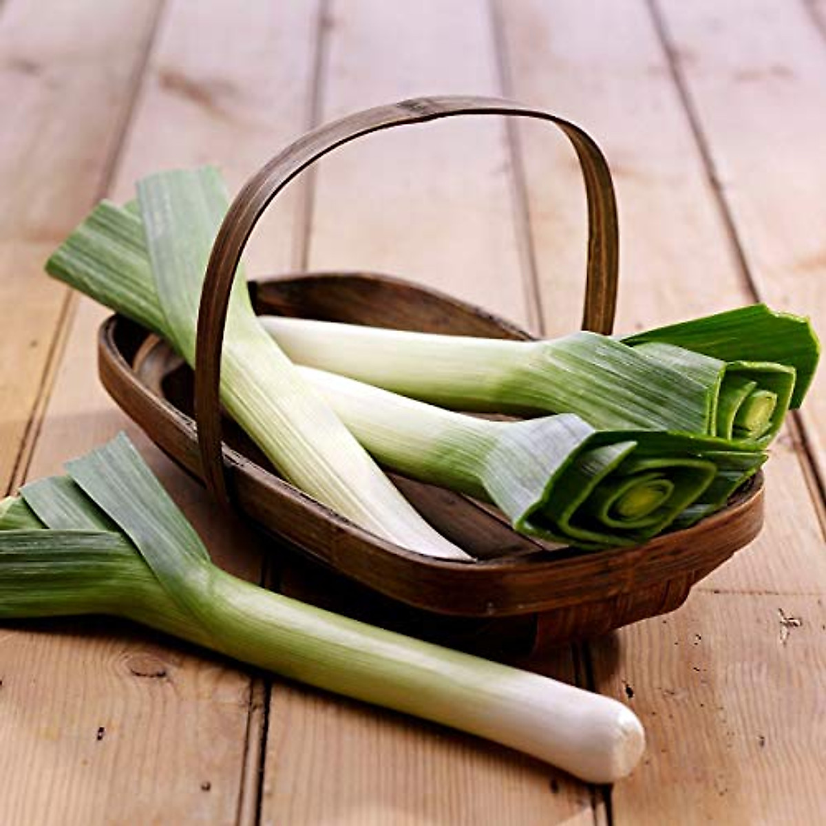 Gaea's Blessing Seeds - Leek Seeds - Non-GMO American Flag Leek Seeds with Easy to Follow Planting Instructions - 90% Germination Rate