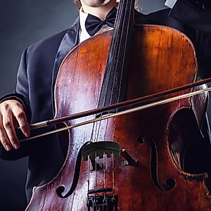 Rubber Violin Practice Mute Set, 10 Pack Round Tourte Style Mute for Violin and Small Viola & 2 Pack Claw Style 4/4 Violin Practice Mute,Ultra Practice Silencer(Black)