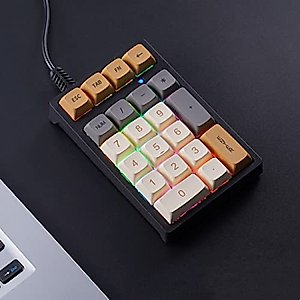 BRIMFORD Number Pad, Mechanical Numeric Keypad, RGB Digital Mechanical Keyboard 21 Keys with USB for Laptop, Notebook, Surface, Tabulation/Accounting Keypad (Shimmer Orange(PBT Keycaps))