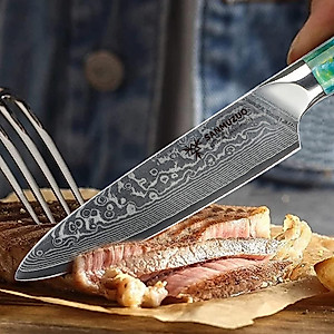 SANMUZUO 5 Inch Kitchen Utility Knife - Xuan Series Kitchen Knives - VG10 Damascus Steel with Resin Handle (Jade Green)