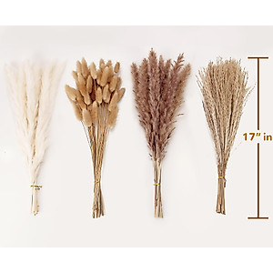 Dried Pampas Grass Decor, 100 PCS Pampas Grass Contains Bunny Tails Dried Flowers, Reed Grass Bouquet for Wedding Boho Flowers Home Table Decor, Rustic Farmhouse Party (White and Brown)