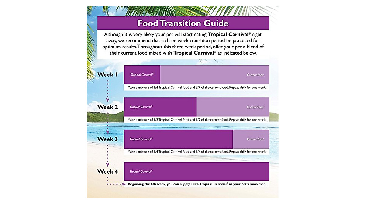 Tropical Carnival Macaw Food: Vitamin-Rich Diet for Big Birds