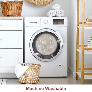 Lanffia Boho Checkered Tufted Rug - 3x5 Area Rug Beige Hallway Rug Washable with Tassels Indoor Farmhouse Floor Carpet for Kitchen Bathroom Laundry Doorway Bedroom Living Room