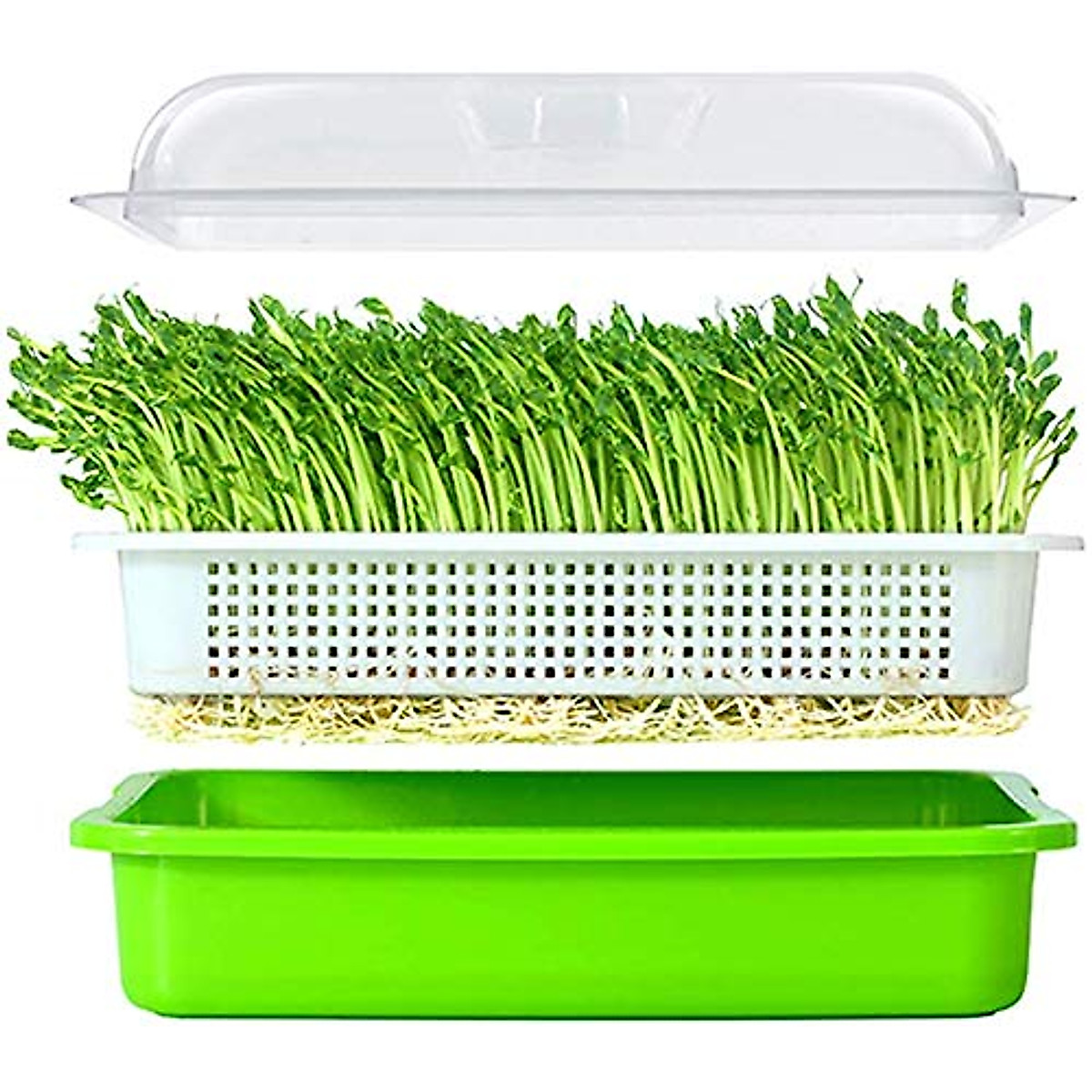 Blawicat Seed Sprouter Tray Seed Germination Tray BPA Free Nursery Tray for Seedling Planting Suit for Garden Home Office (5pcs with lid)