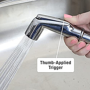 Danco 88760 Universal Fit Sink Spray Head, Chrome