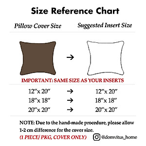 DOMVITUS Boho Pillow Covers 18x18, Throw Pillow Covers for Farmhouse Accent Decorative Throw Pillows, Neutral Pillow Covers for living room bedroom couch, One Stripe, 1PC