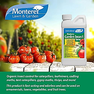 Monterey LG6150 Garden Insect Spray, Insecticide & Pesticide with Spinosad Concentrate, 16 oz