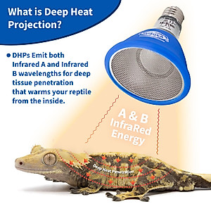 Pangea Deep Heat Projector 2-Pack for Reptiles with Carbon Fiber Filament, Deep Warming Infrared A and B Bulb for Basking Reptiles, Designed for Ceramic Sockets (100 Watt)